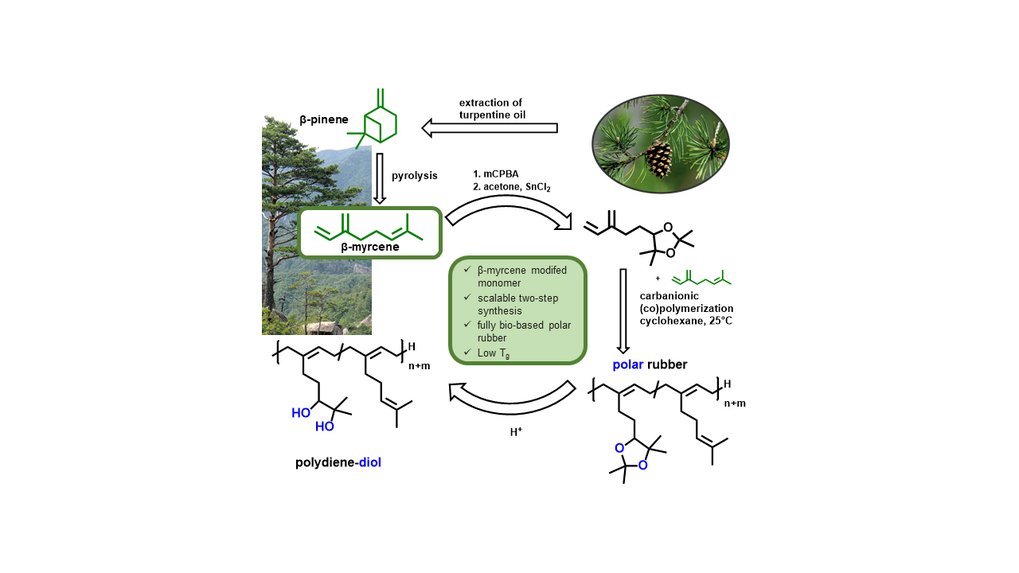 Myrdol A Protected Dihydroxyfunctional Diene Monomer Derived From β